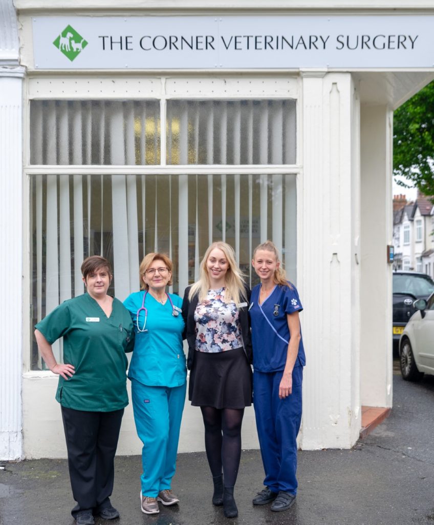 Brand New Website!! - The Corner Veterinary Surgery