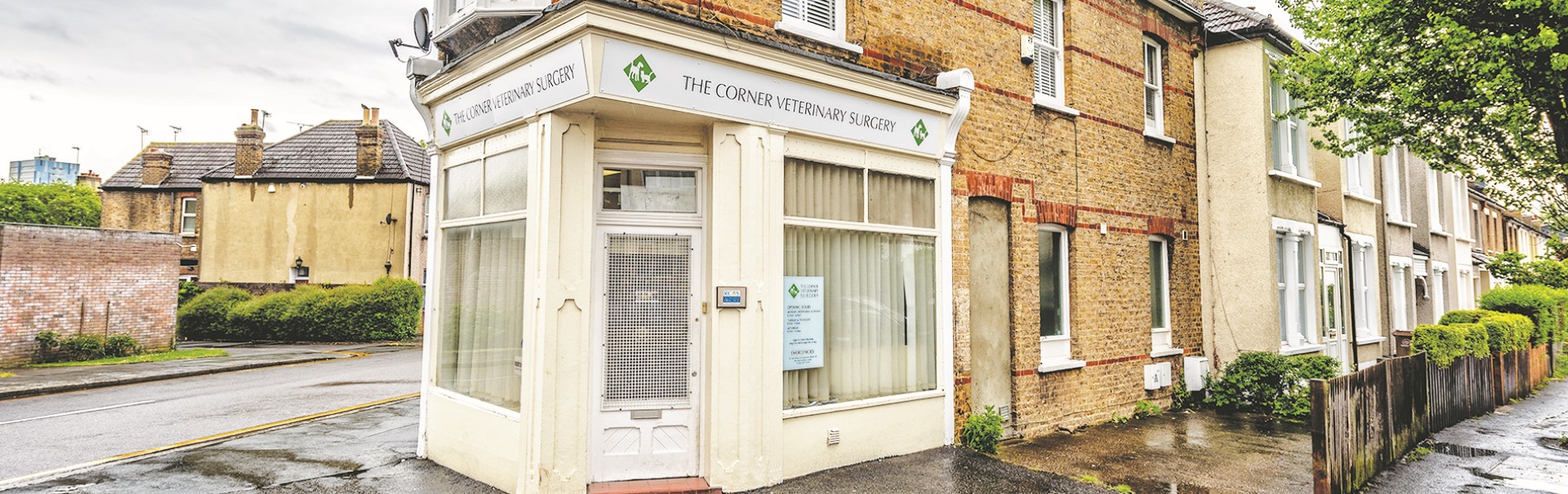 Brand New Website!! - The Corner Veterinary Surgery