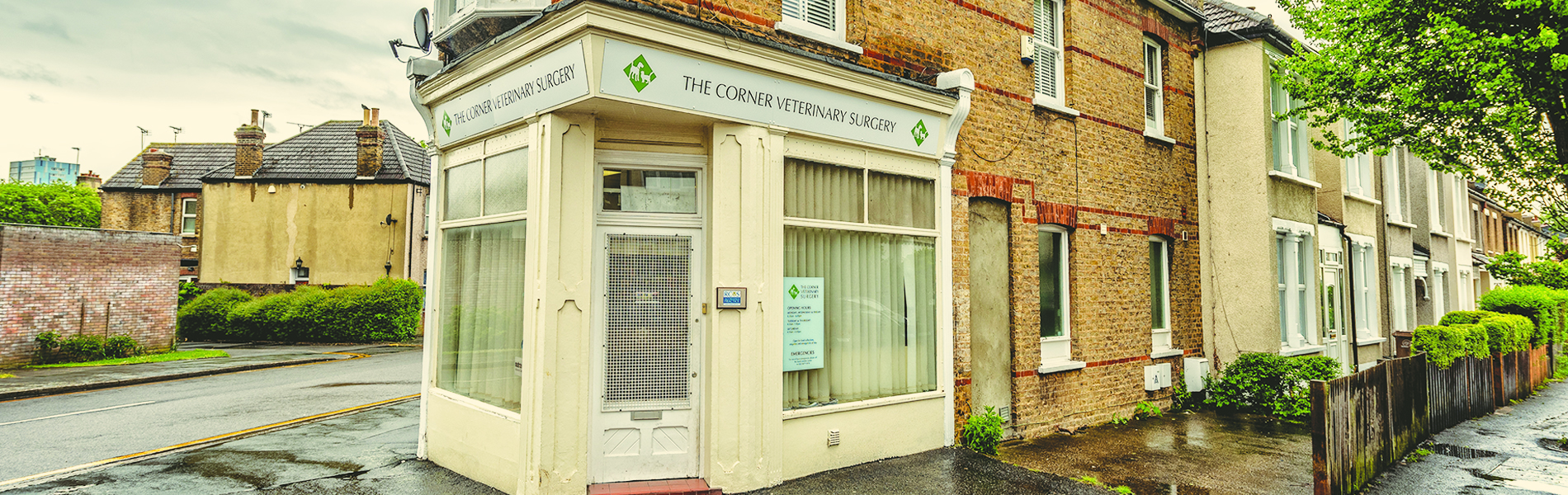 Home - The Corner Veterinary Surgery